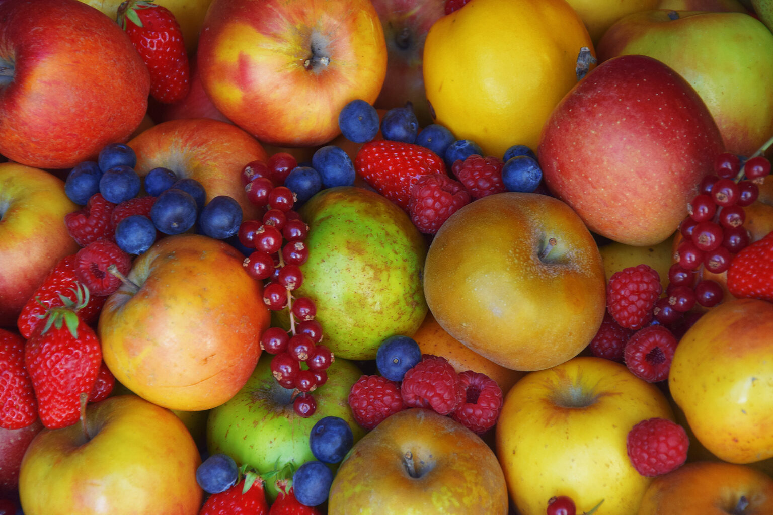 Les produits - Famille Teulet